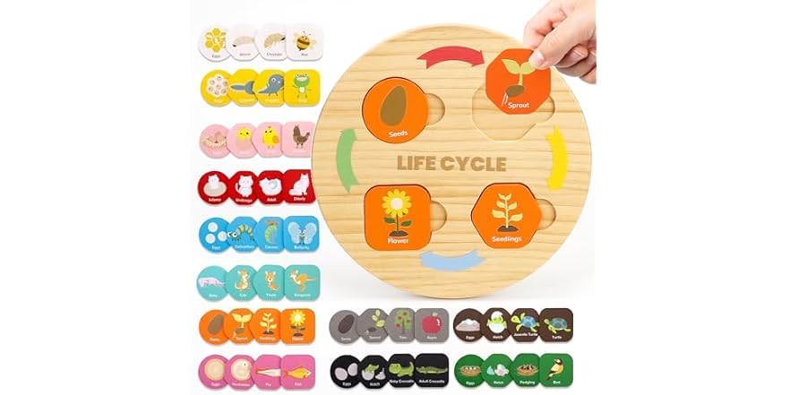 12 Themes Life Cycle Toys for Kids