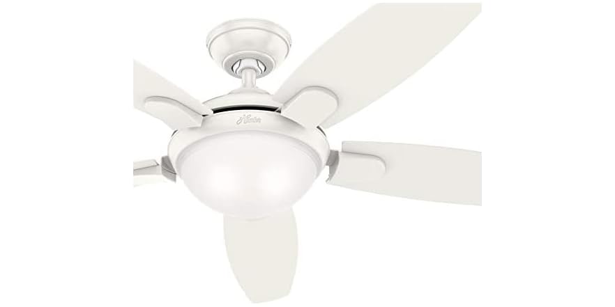 Hunter Fan 54" Contemporary Indoor Fan