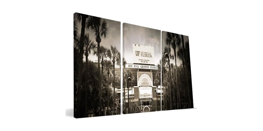 Stadium Canvas Triptychs