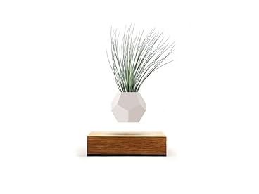 LYFE Levitating Plant Pot for Air Plants
