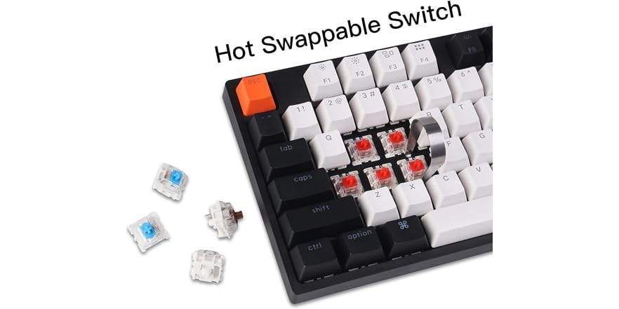 Keychron C2 Full-Size Wired Mechanical Keyboard (Open Box)