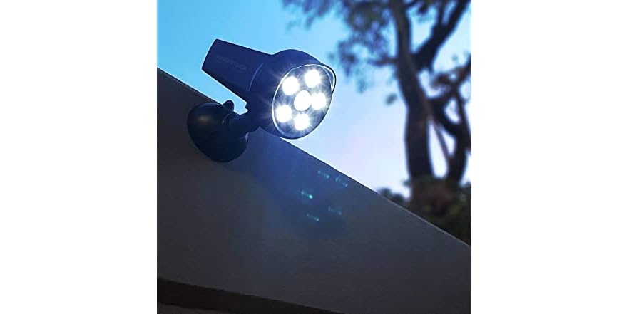 Guardian Torch Motion Outdoor Spotlight 2Pk