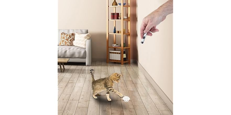 Penn-Plax LED Pointer Cat Toy