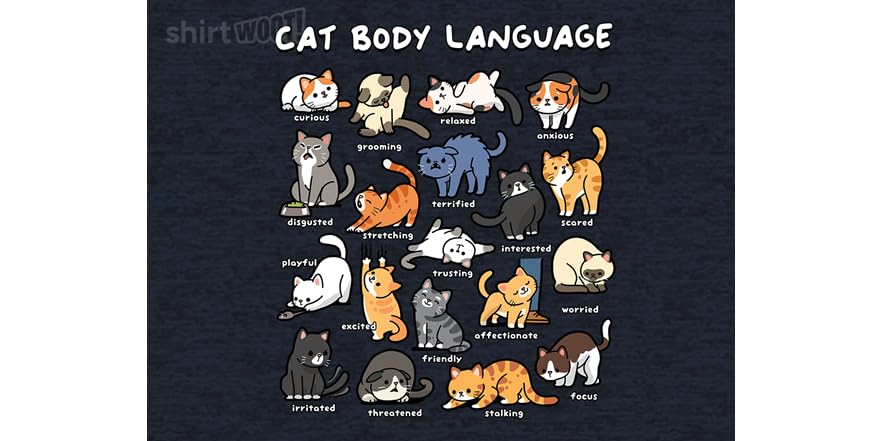 Cat Body Language