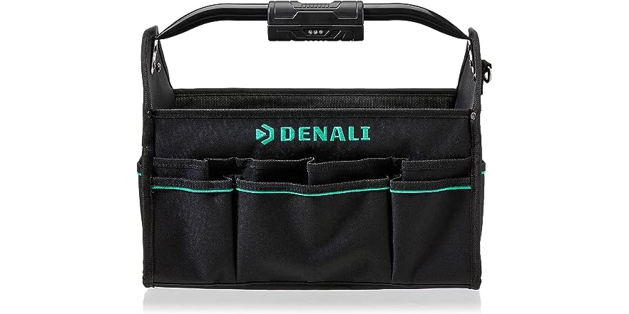 Amazon Brand - Denali Lighted Tool Bag, 30 Pockets