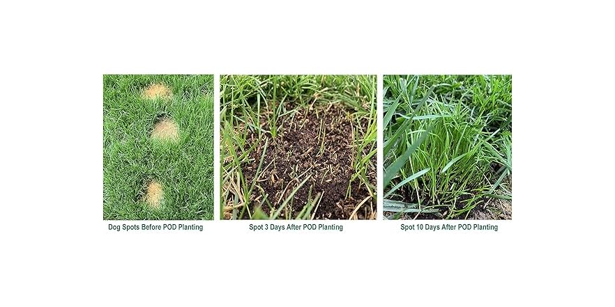 Rapid Repair POD, Brown