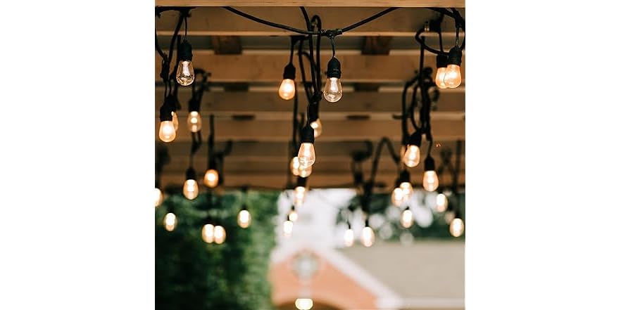 PHILIPS 29' String Lights w/ 15 Clear Incandescent Bulbs