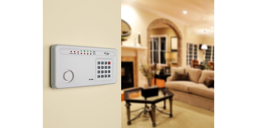 Skylink Security System