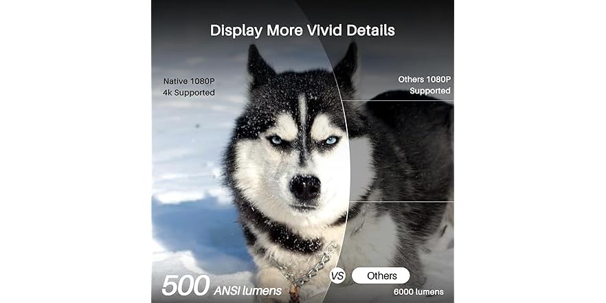 SANSUI Portable Projector