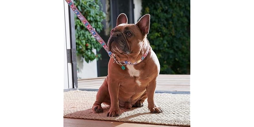 Original Squish Squad Pet Collar