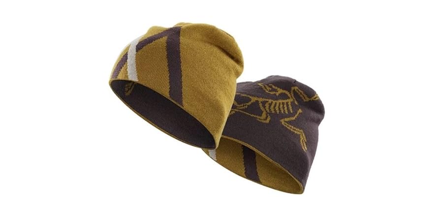 Arc'teryx Arc Mountain Toque