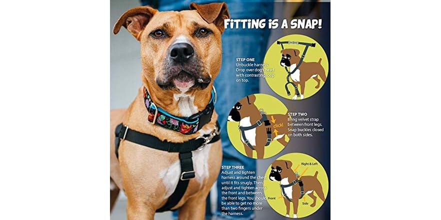 2 Hounds Design Freedom Dog Harness