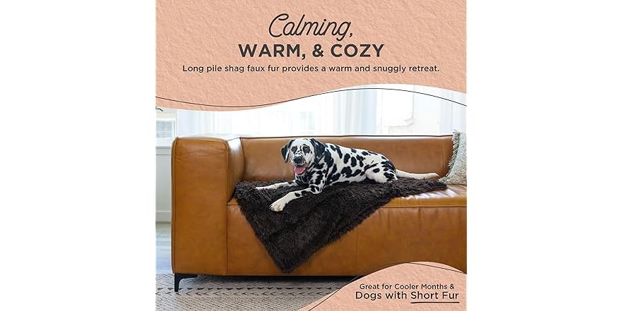 Best Friends by Sheri Calming Shag Blanket