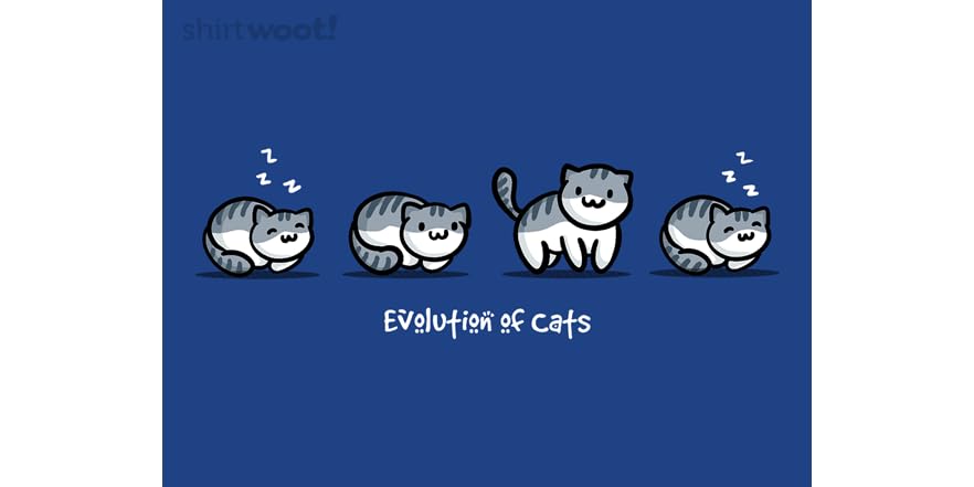 Evolution of Cats