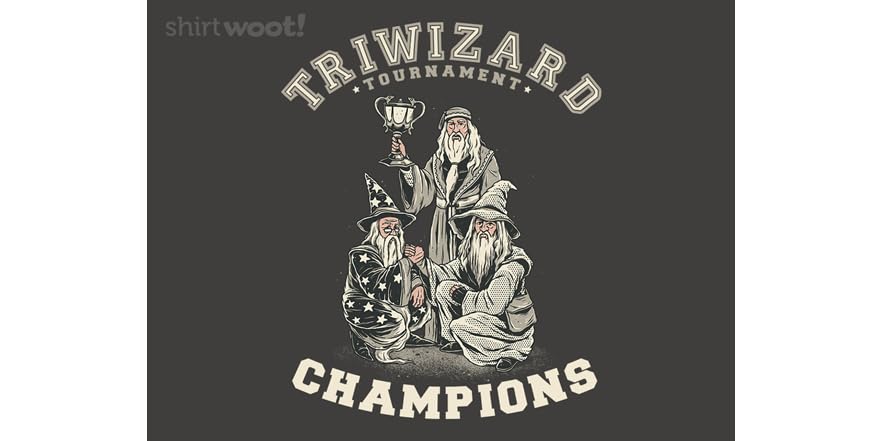 Triwizard Tournament Champs