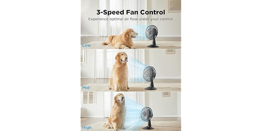 PELONIS Oscillating Table Fan 12-Inch