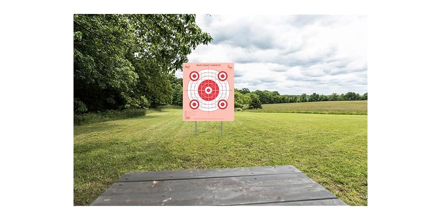 SinglePoint Red Easy Sight Shooting Targets