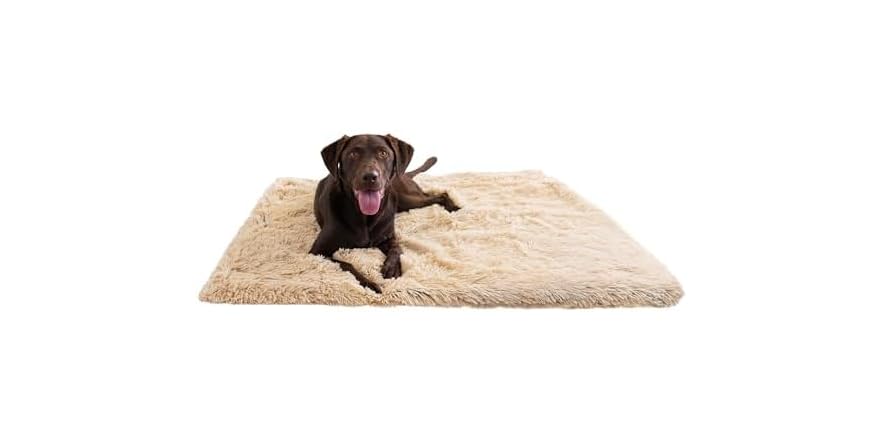 Best Friends by Sheri Calming Shag Blanket