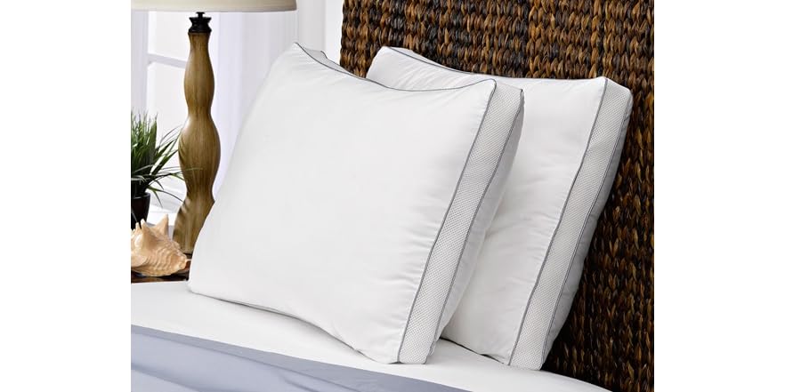 2 Pack Mesh Gusseted Memory Fiber Pillow