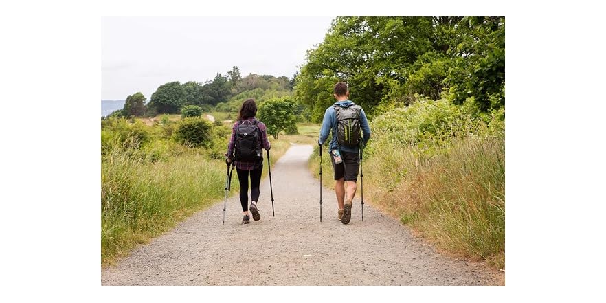 Cascade Mountain Tech Trekking Poles