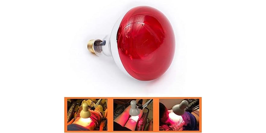 Near Infrared Red Heat Lamp Blub
