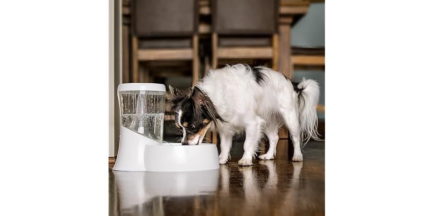 Petmate Fresh Flow Rain Battery Fountain