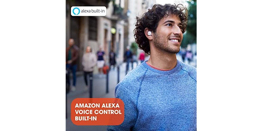 JBL LIVE 300 Premium True Wireless Earbuds