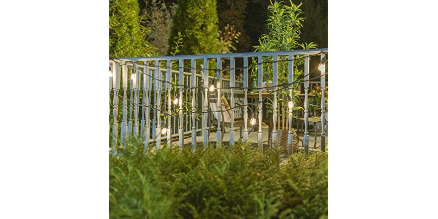 Amazon Basics 24-Foot Outdoor String Lights 679683