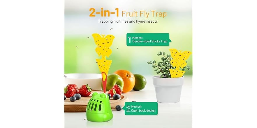 Fruit Fly Sticky Traps, 2 Pack