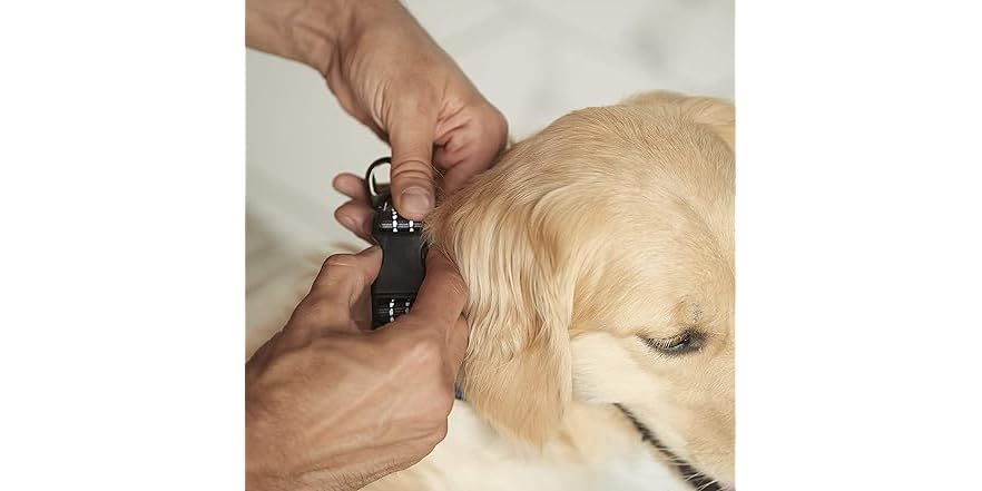 Franklin Reflective Dog Collar