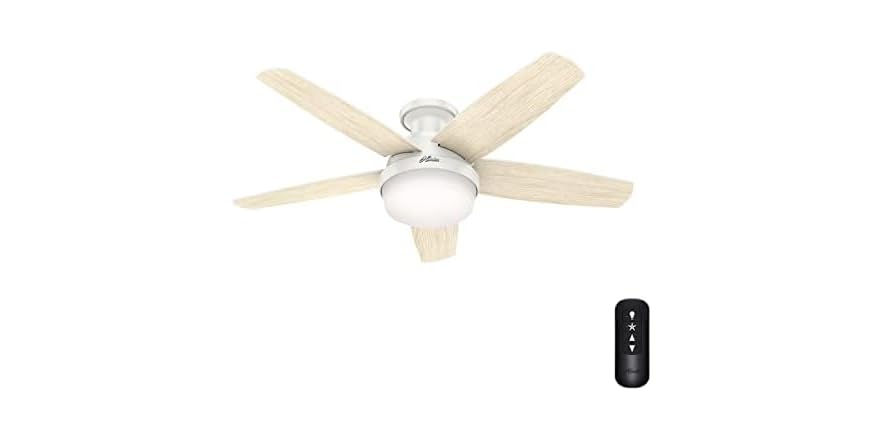 Hunter Fan 48" wLight Kit and Remote (Open Box)
