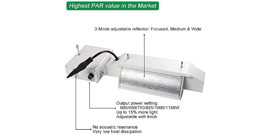 iPower 1000W Double Ended Light System