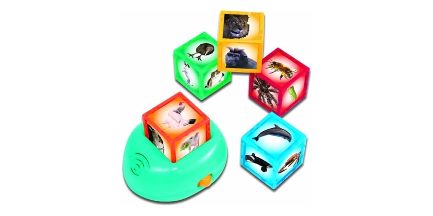 Animal Cubes - Kids & Toys