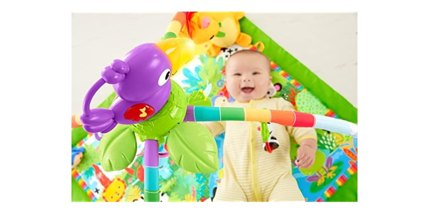 Fisher-Price Rainforest Gym