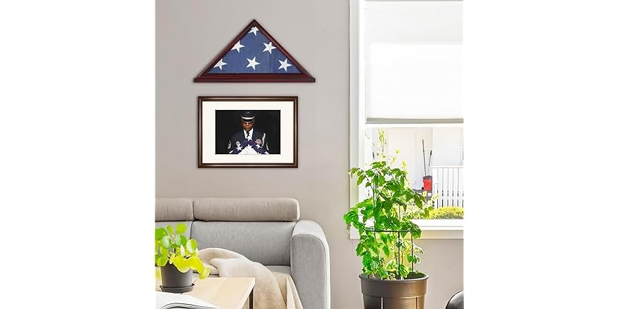 Triangular Folded Flag Display Case