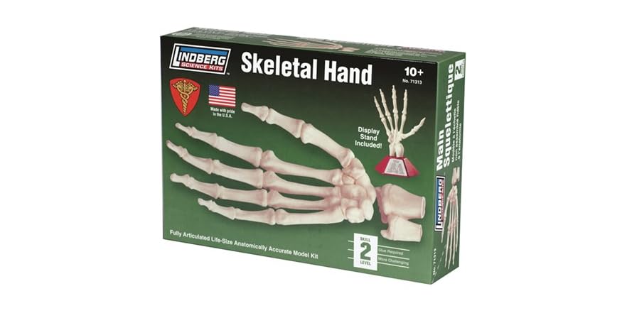 Lindberg Skeletal Hand Model Kit