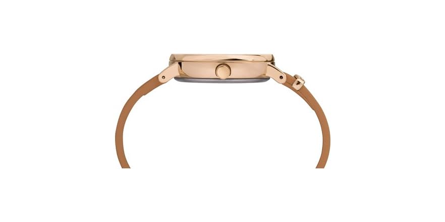 Timex Fairfield Ladies Watch TW2R70400