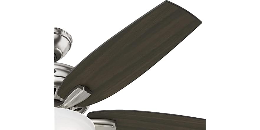 Hunter Fan 52" wLight Kit & Chain