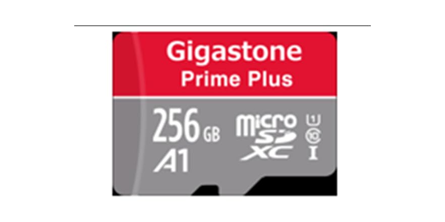 Gigastone MicroSD 256GB