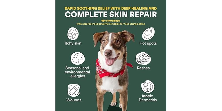 ZOOP Waterless Wellness Bath Spray (8 oz)