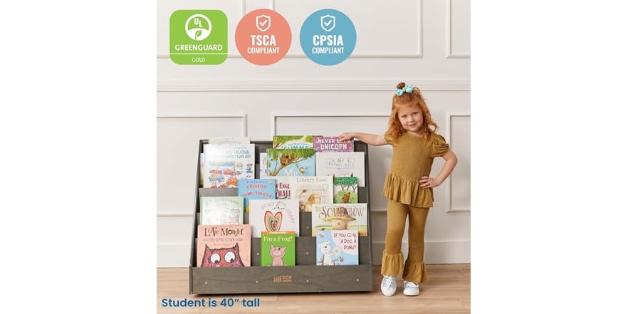 Double-Sided Mobile Book Display W/ Storage