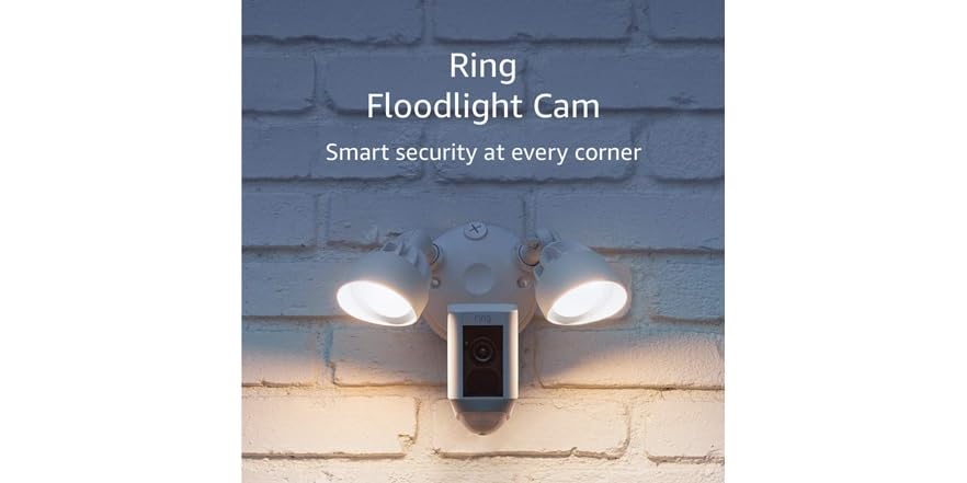 Ring Floodlight Camera
