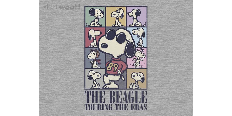 Eras of the Beagle