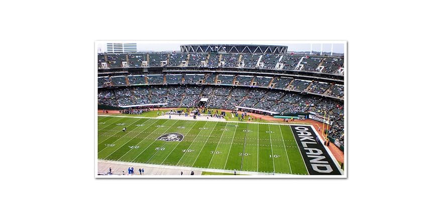 NFL 36x20 Stadium Posters