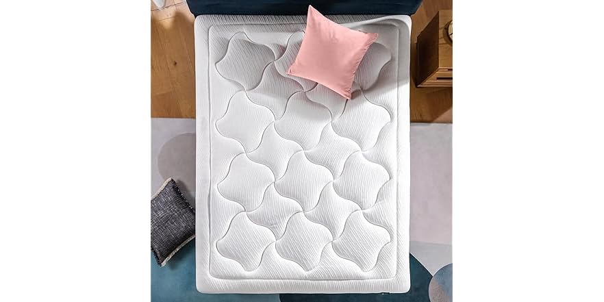 ZINUS 12 Inch Cloud Memory Foam Mattress