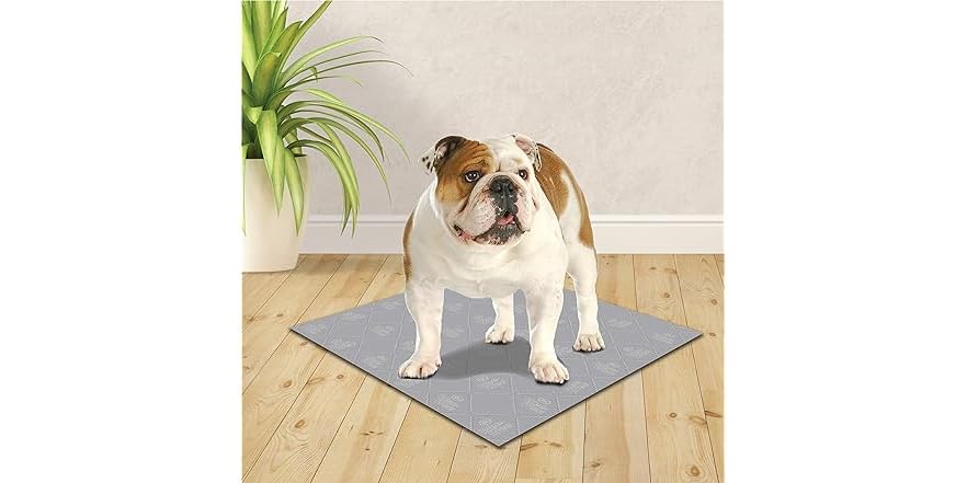 Four Paws Wee-Wee Pet Potty for Dogs