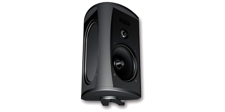 Definitive Technology AW6500 Outdoor Speaker