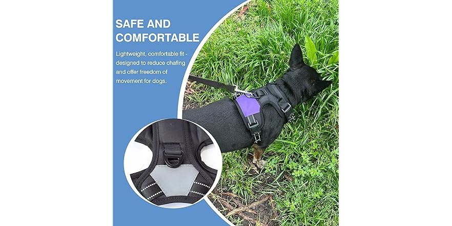 The Inquisitive Canine The North Star Dog Harness