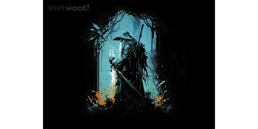 The Traveling Wizard