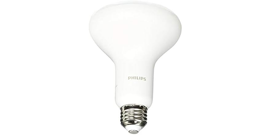 Philips 65 Watt Equivalent Daylight LED Bulbs